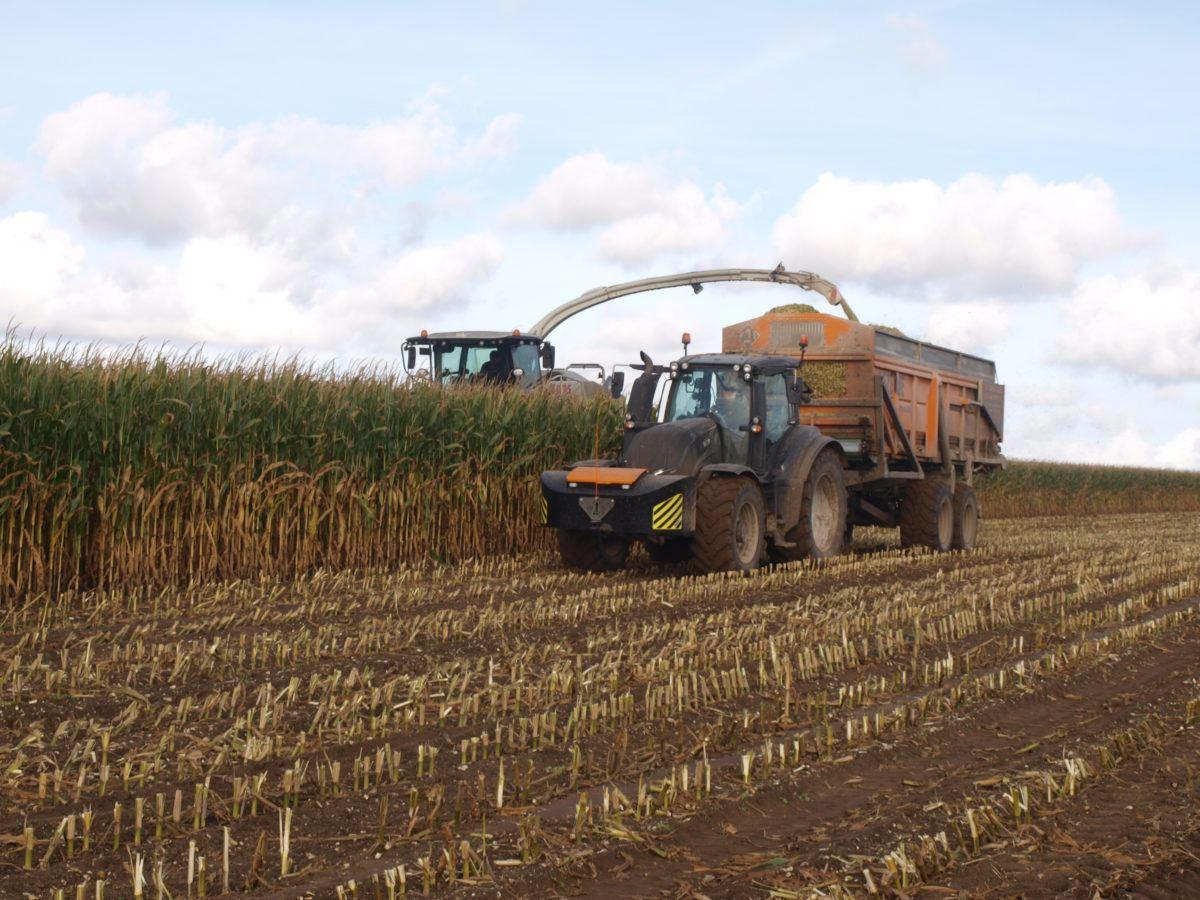 Drivers Chose Valtra