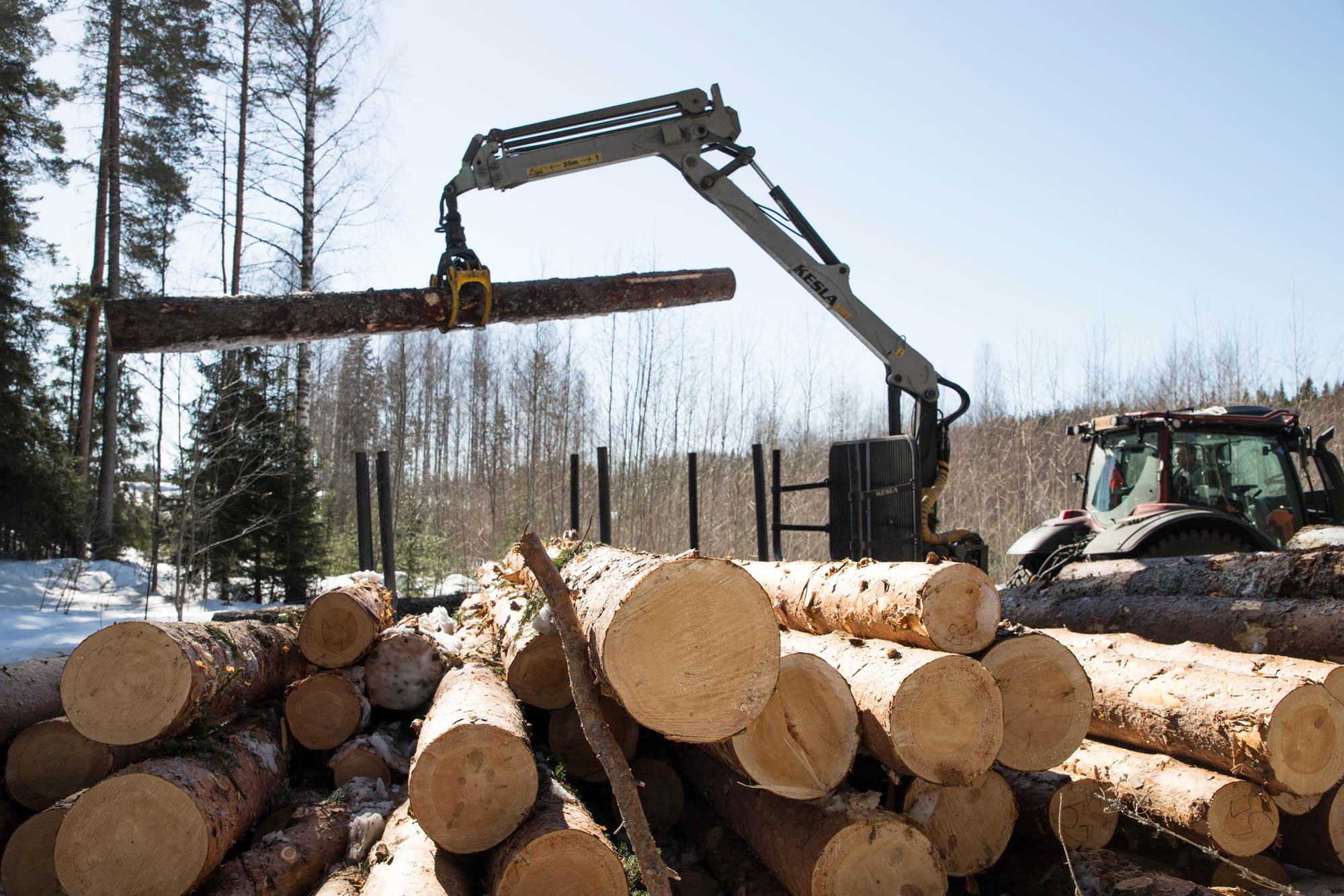Bosbouwer waardeert z’n hydraulisch aangedreven trailer